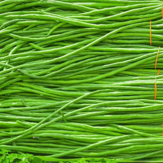 Cowpea Beans/Barbatti Vegetable Seeds (Green, Pack of 25g, 225+ Seeds)
