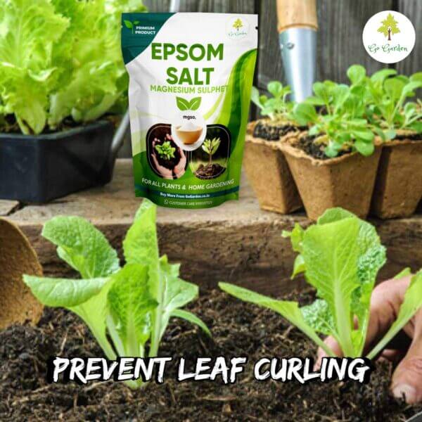 Epsom Salt – Magnesium Sulfate Fertilizer for Plant Growth