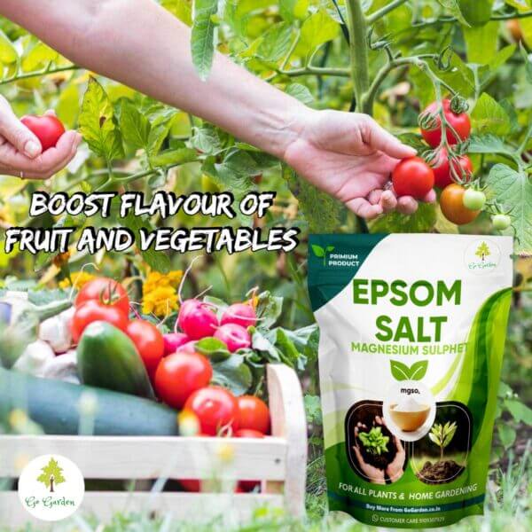 Epsom Salt – Magnesium Sulfate Fertilizer for Plant Growth