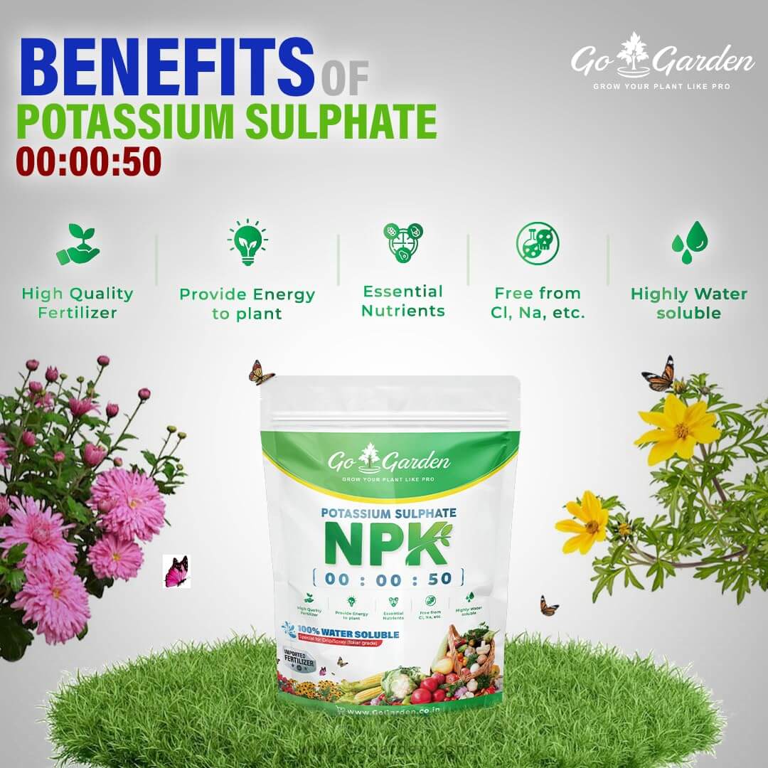 Potassium Sulphate NPK 00:00:50 Fertilizer Powder