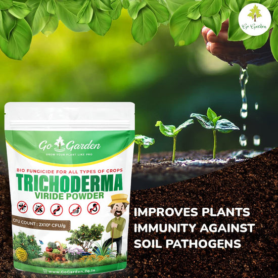 Trichoderma Viridi Fungicide for plants Bio Fungicide- Prevents Fungal