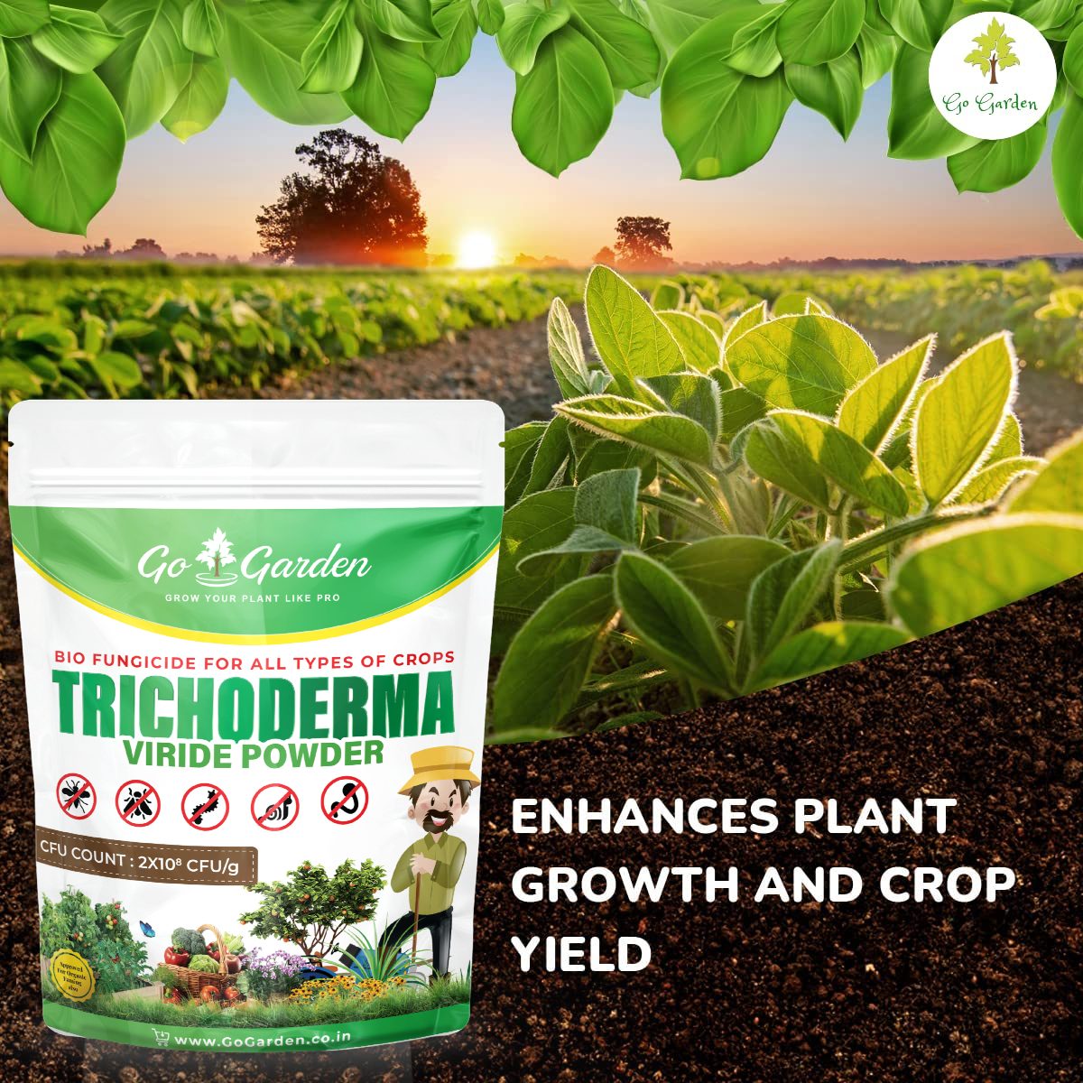 Trichoderma Viridi Fungicide for plants Bio Fungicide- Prevents Fungal