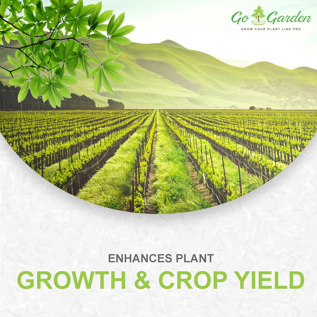 Trichoderma Viridi Fungicide for plants Bio Fungicide- Prevents Fungal